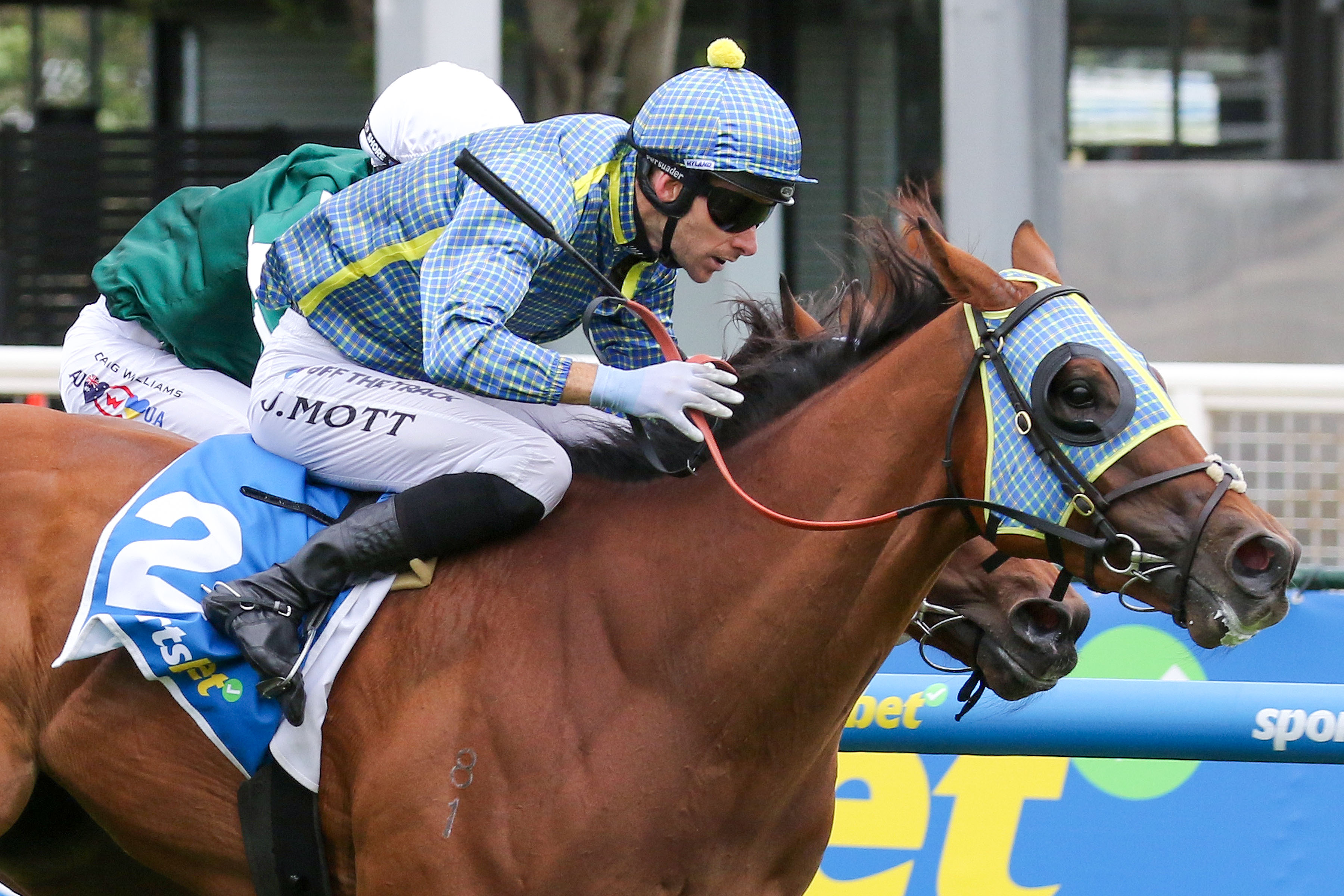 Centennial Park flags Kiwi credentials