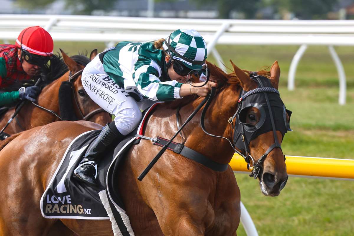 Summer campaigns kicking off for Rae pair