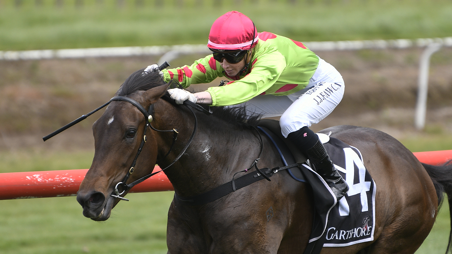 Family eyeing off Ellerslie feature race double