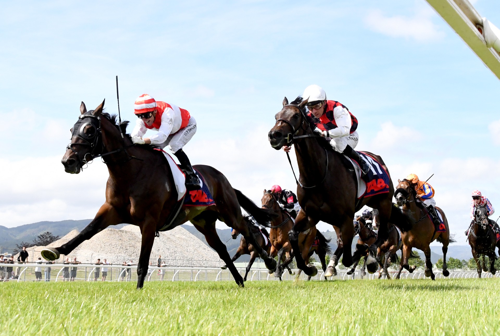 Bosson masterclass lands second Group One for Ladies Man