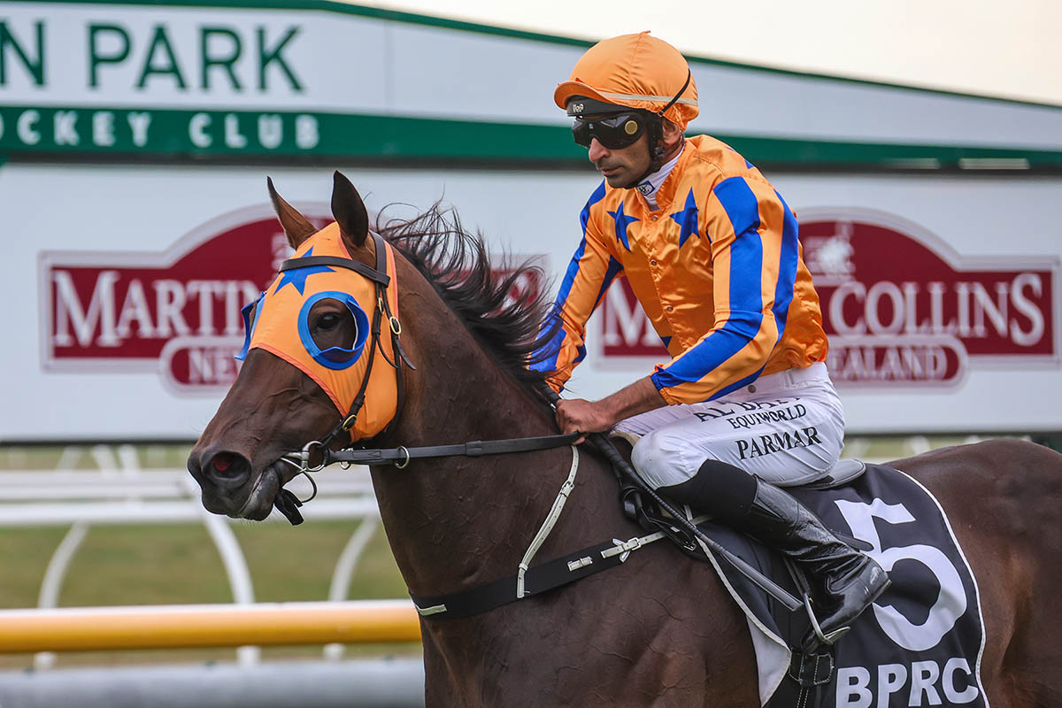 Te Akau southerners stakes-bound