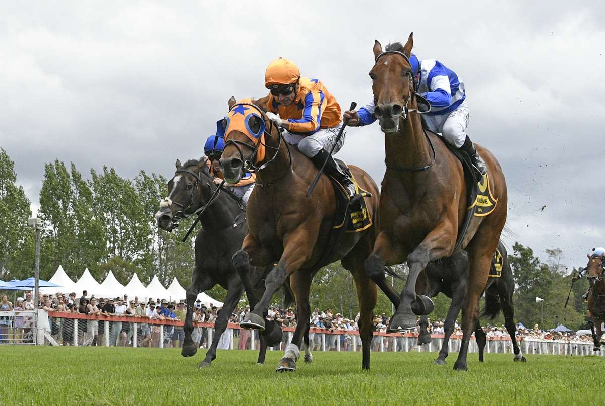 Te Akau’s southern charge set to continue at Riccarton