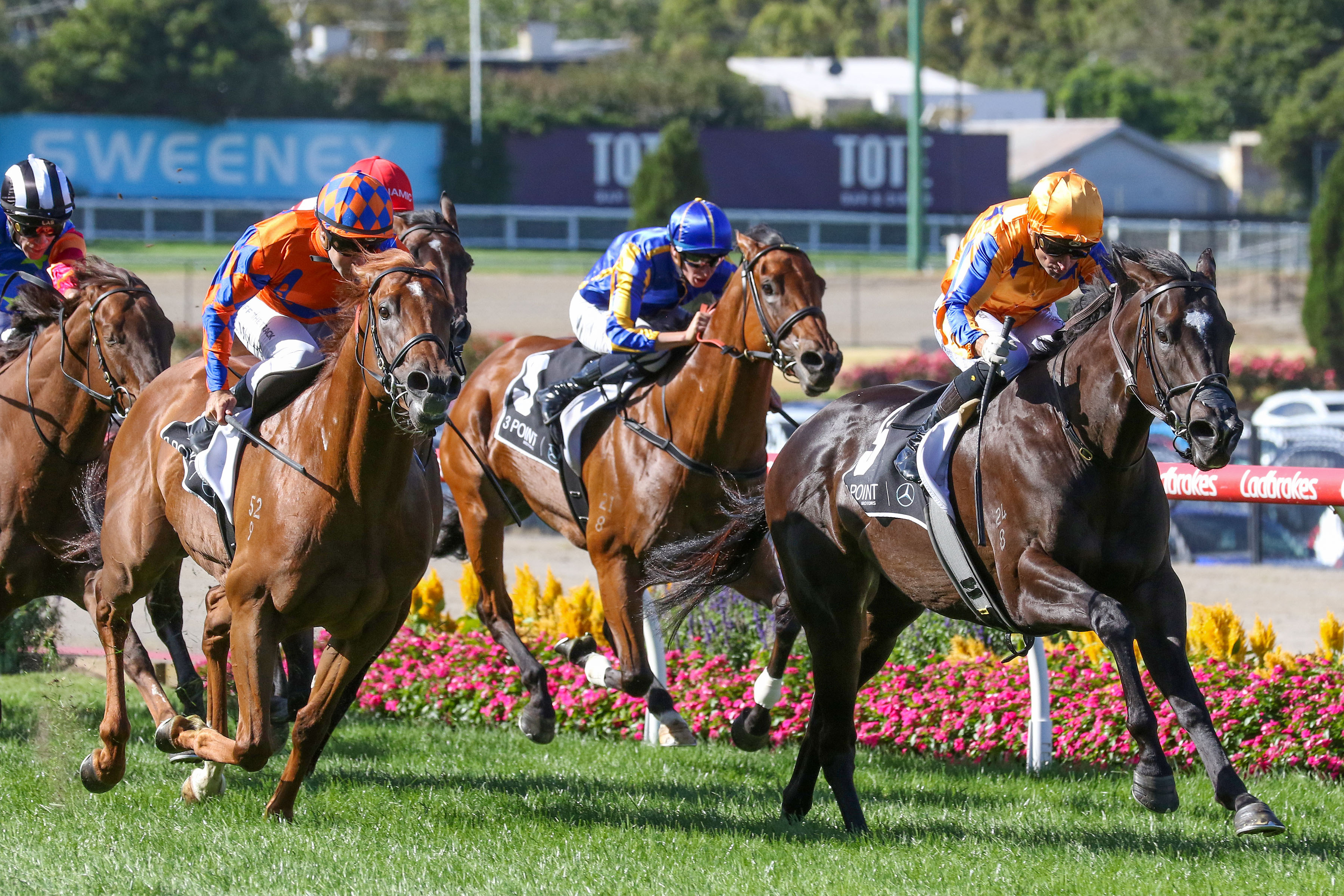 Te Akau to continue trans-Tasman momentum