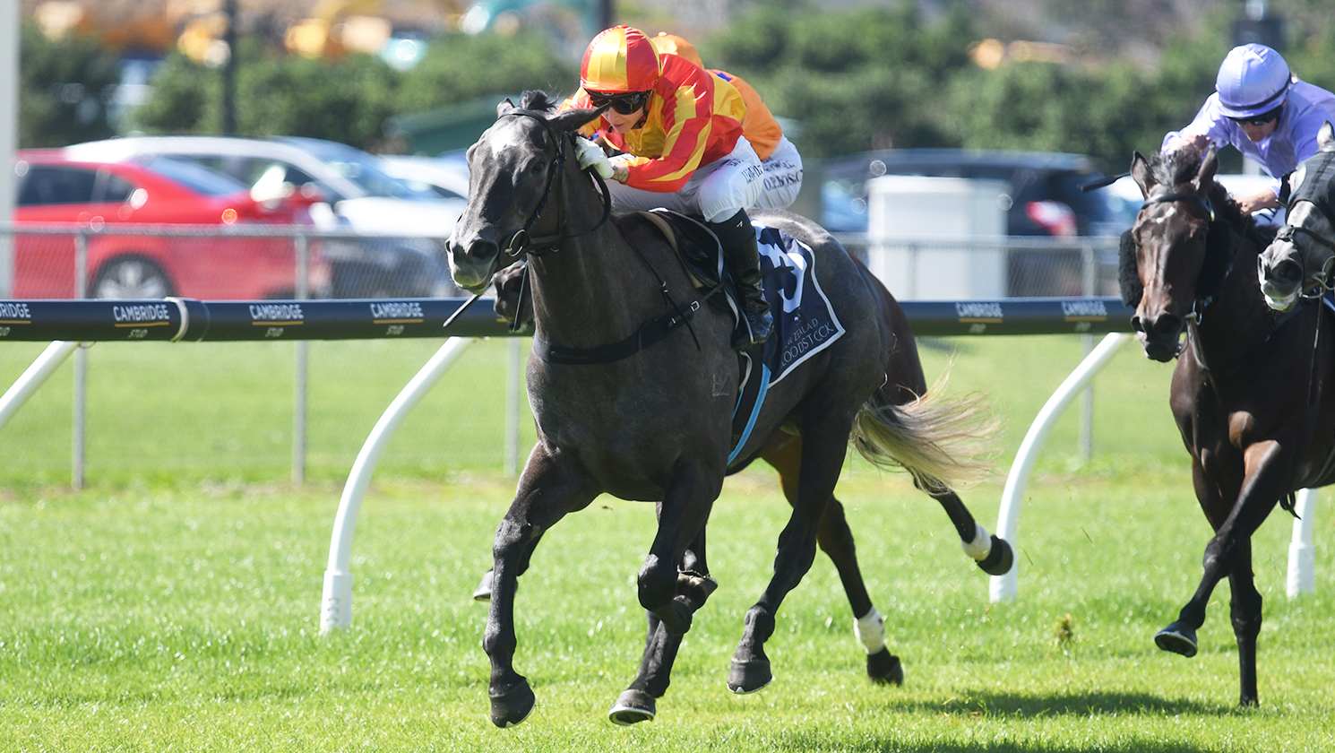 Grey Haze claims major bonus in Pearl Series Final