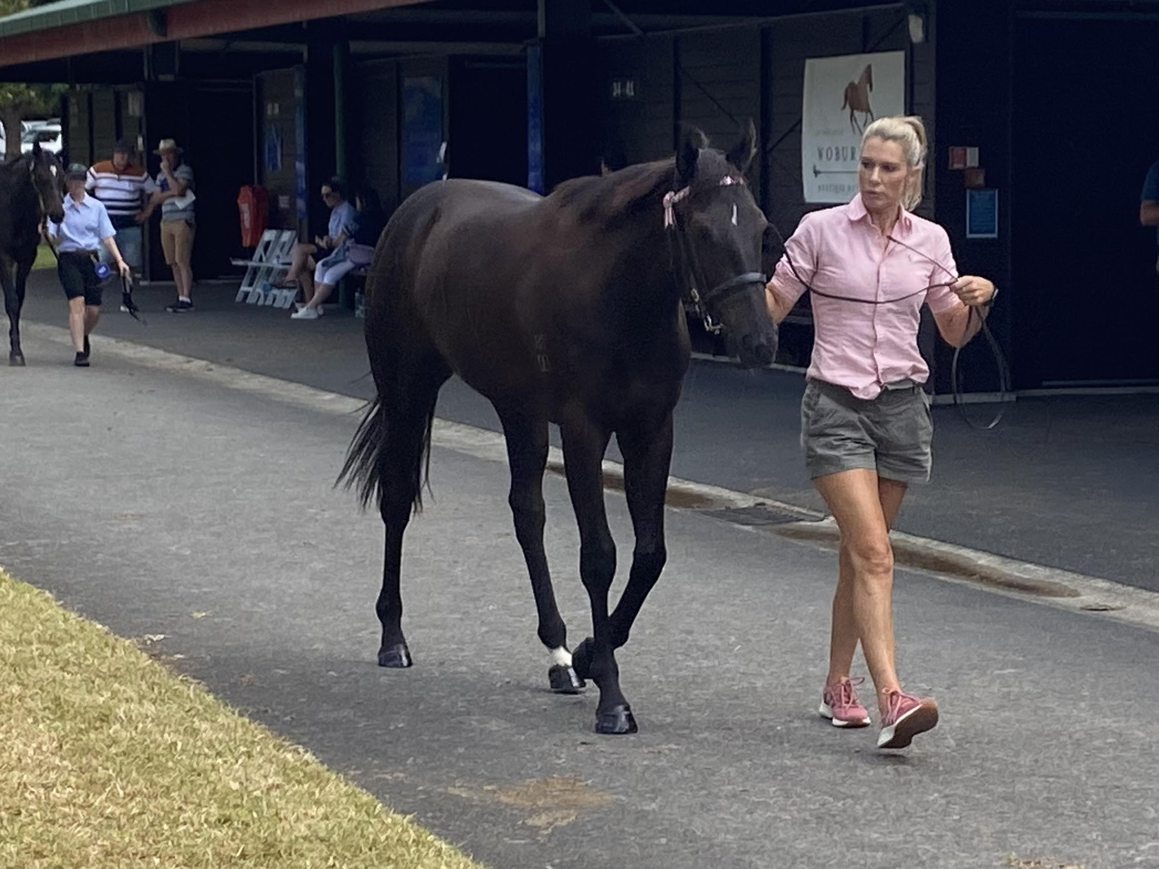 Peterken breeds first stakes winner