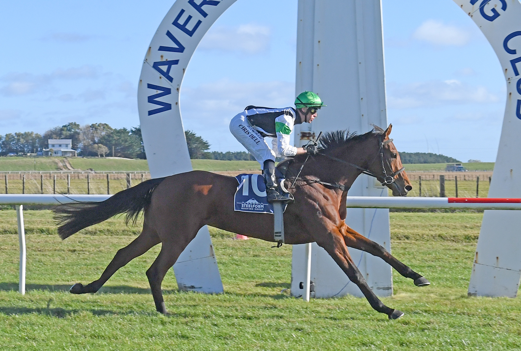 Glimmer shines at Waverley on debut