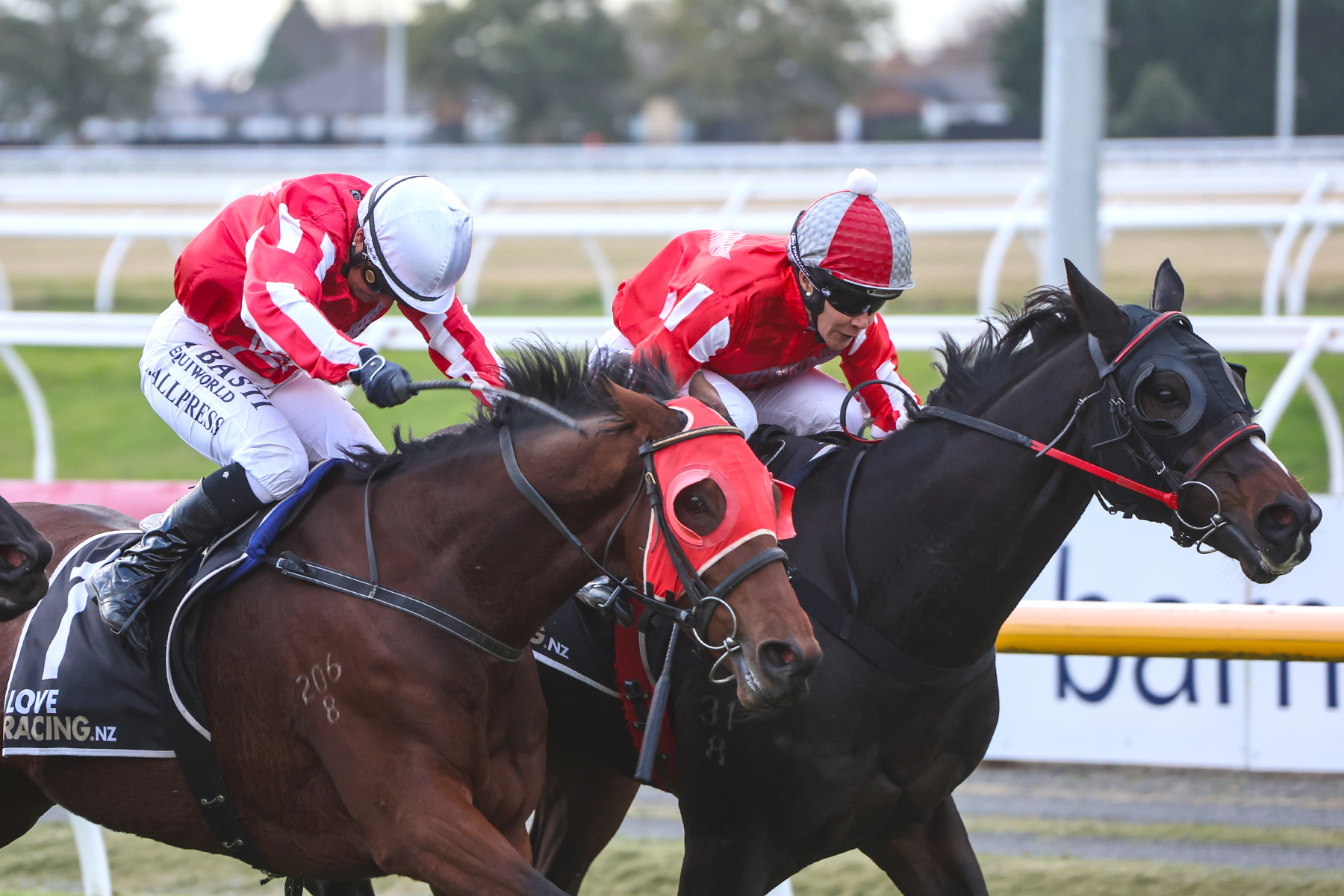 Repeat quinella for Pitman pair in Founders Cup