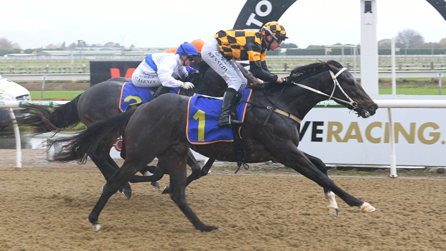 Trainer pulls right rein with well-bred two-year-old