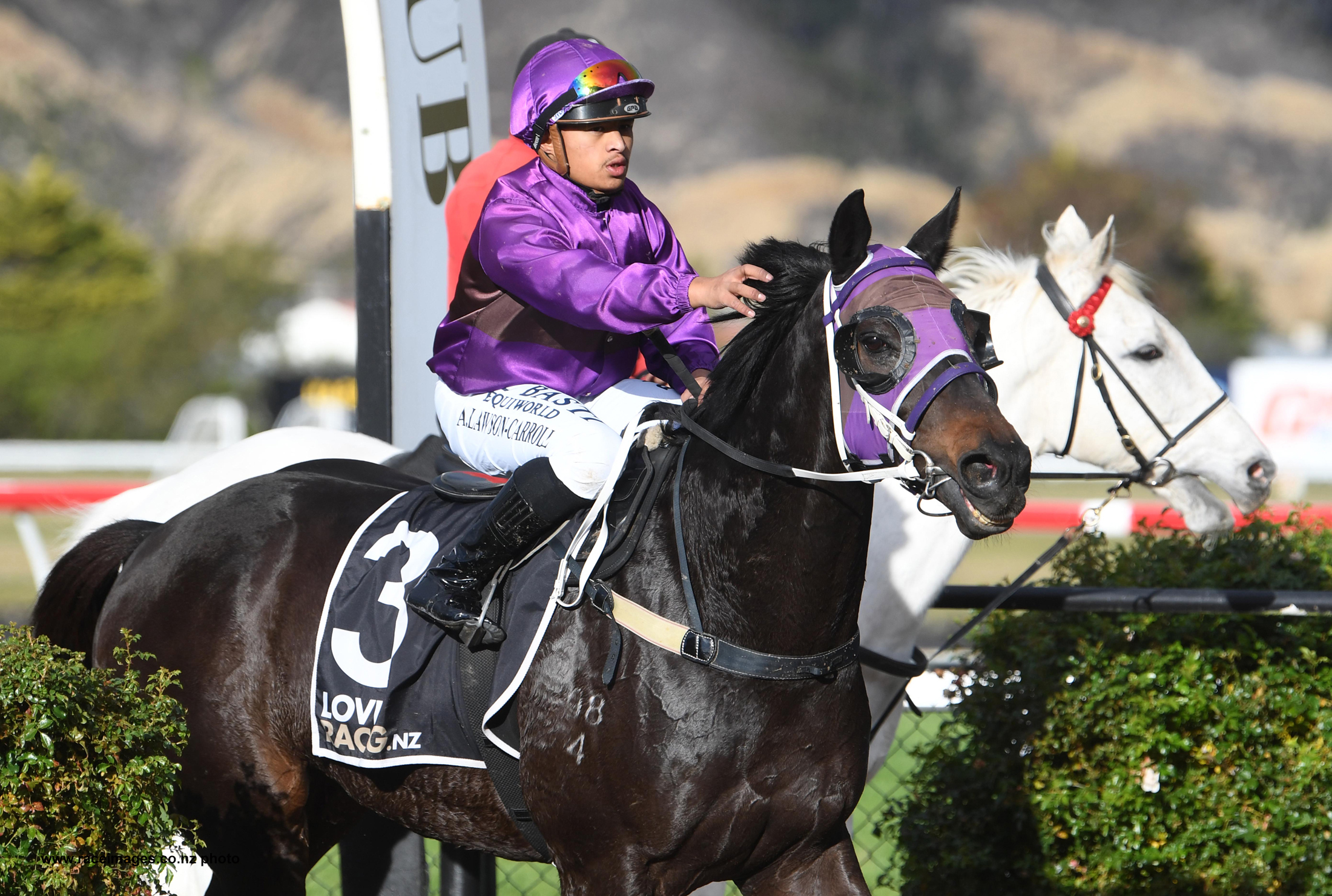 Latta and Lawson-Carroll shine at Trentham