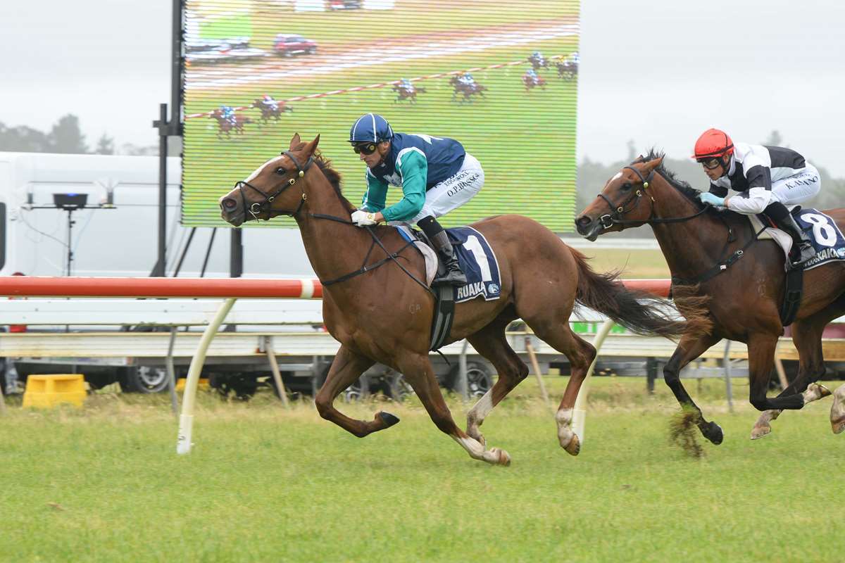 Master Brutus’ raceday return imminent