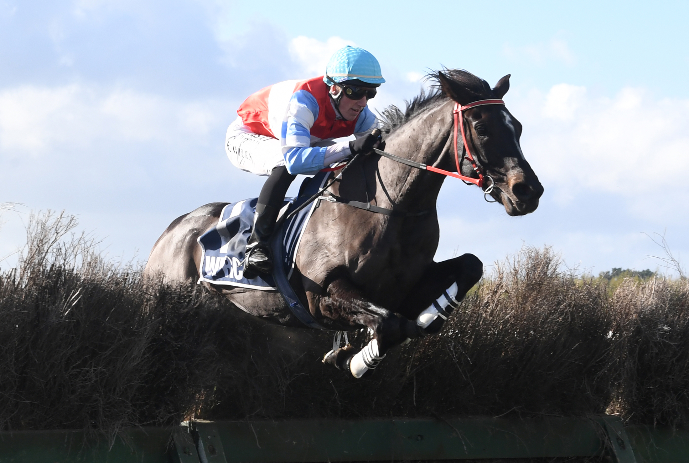 Hawke’s Bay trip on the cards for Auld Jock