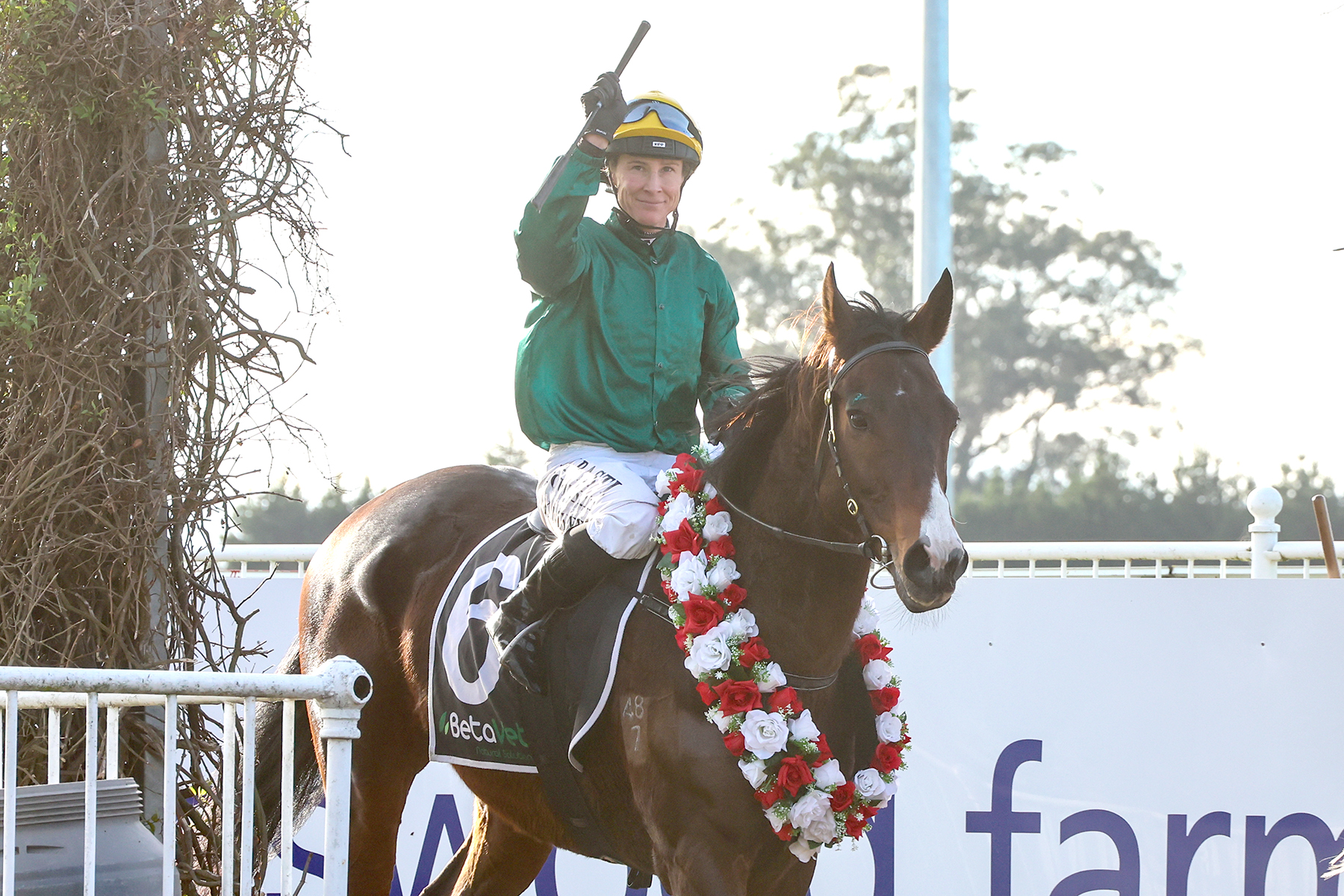 Jay Bee Gee makes outstanding return at Riccarton