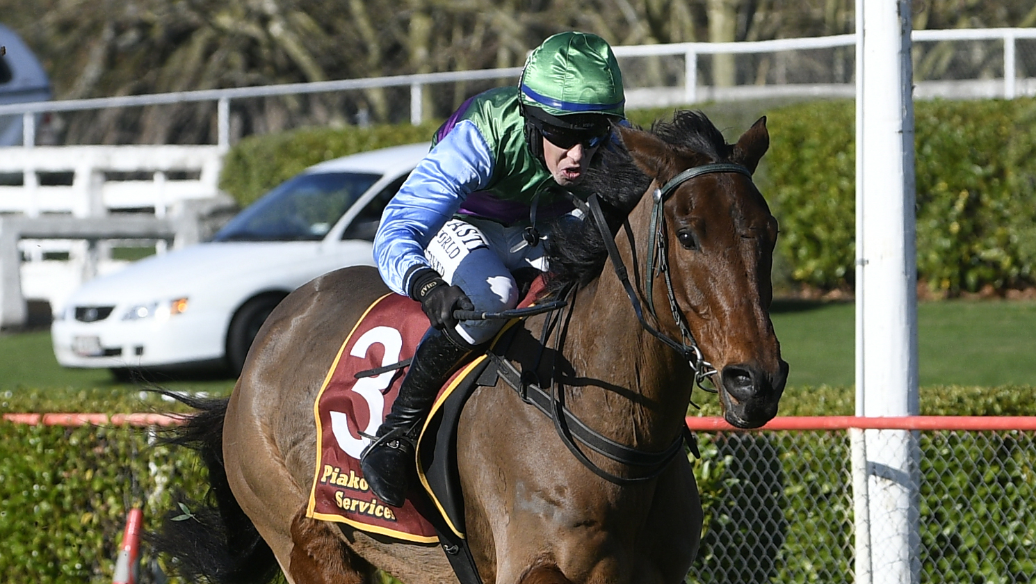 Parker succeeding on Kiwi soil