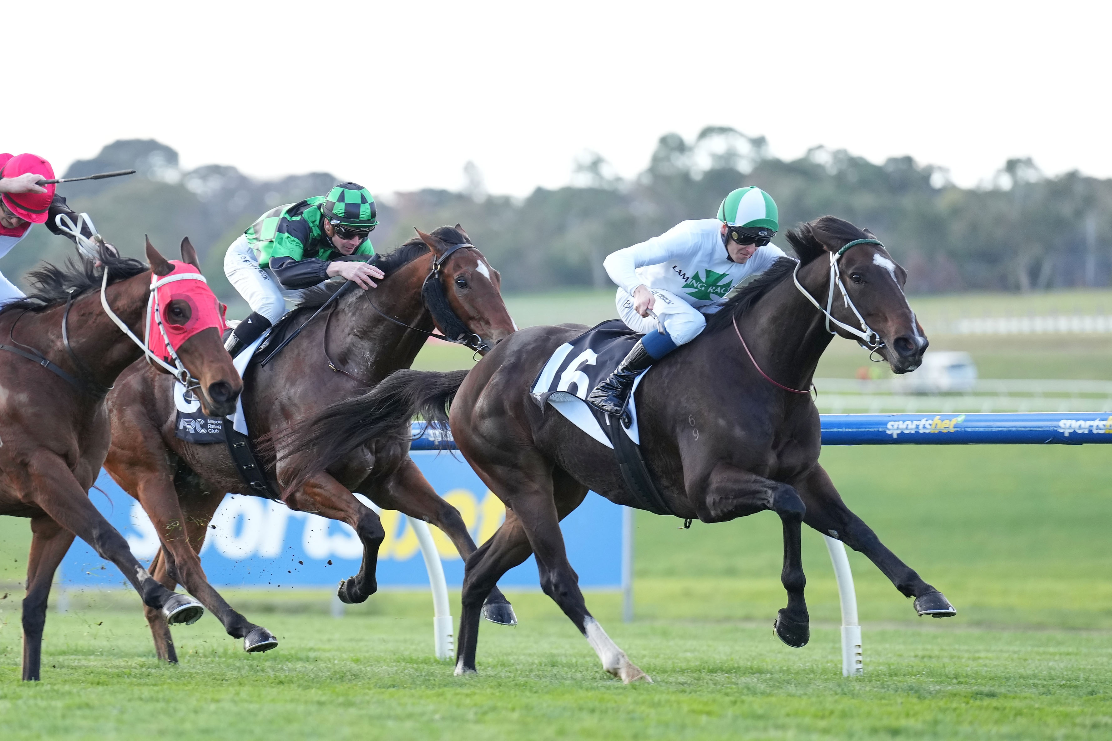 Name Dropper remains undefeated