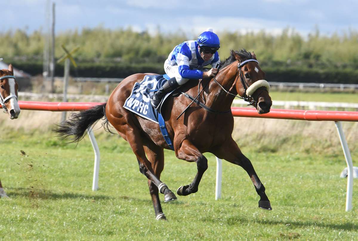 Strong Pukekohe trio a bonus for Cole