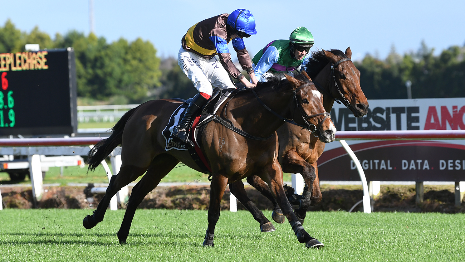 The Cossack back on top at Te Rapa