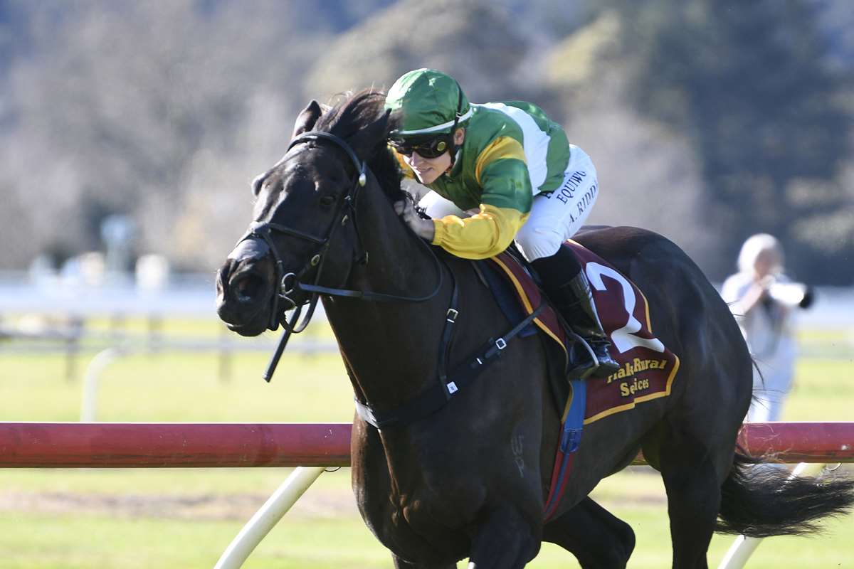 Rathbone well represented at Wanganui