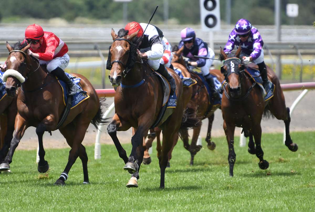 In-form Cimarron major Cup contender