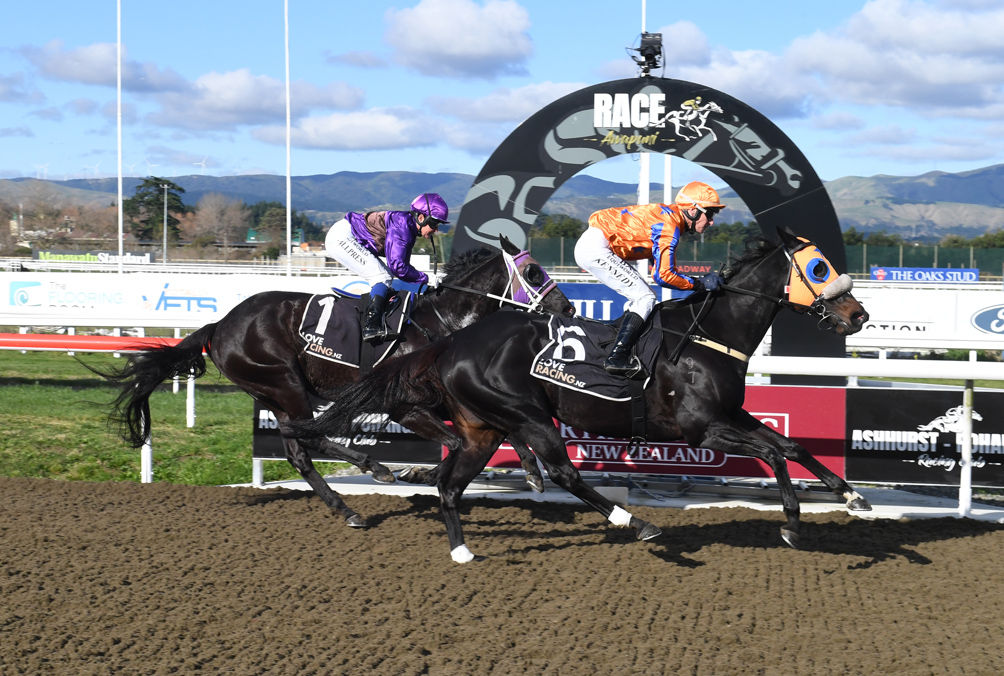 Luxuriant shining on Awapuni Synthetic