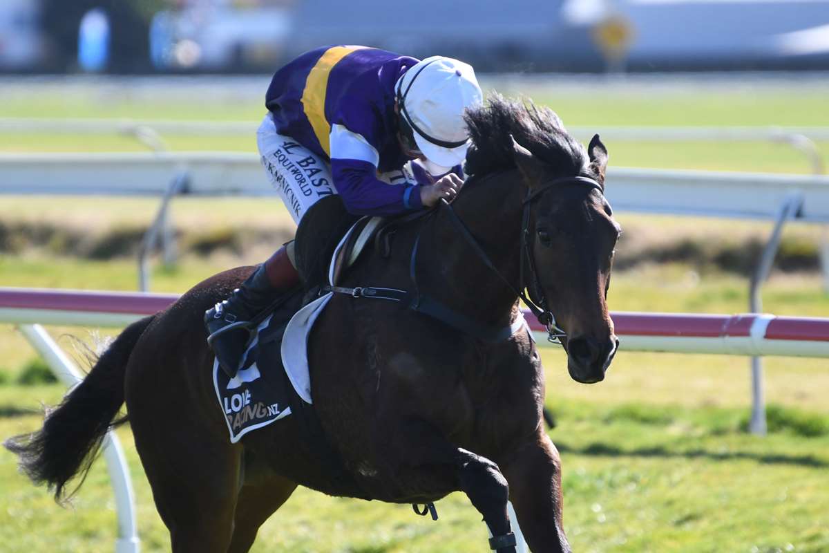 Smug primed for Trentham test