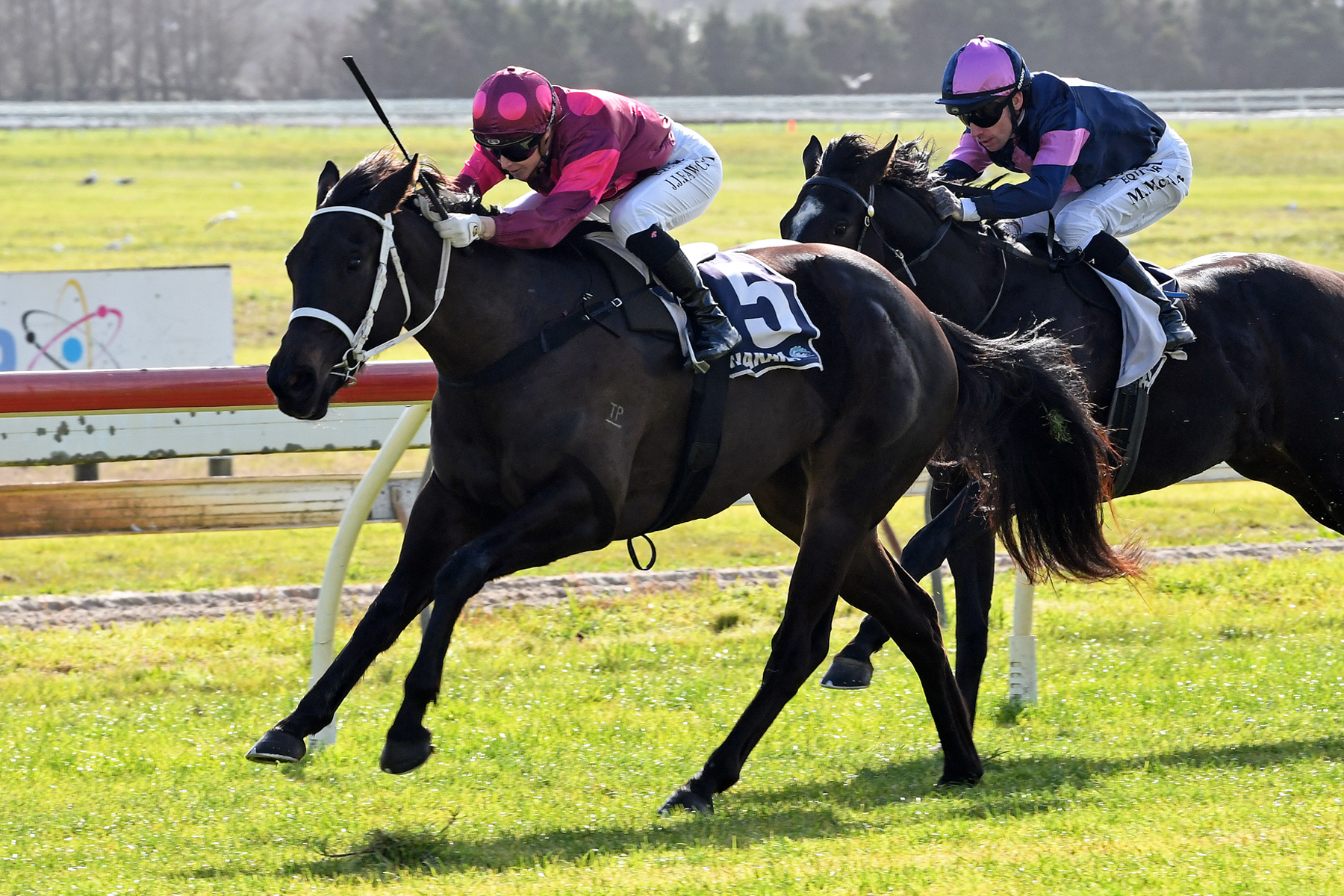 Vegas Queen reigns at Ruakaka