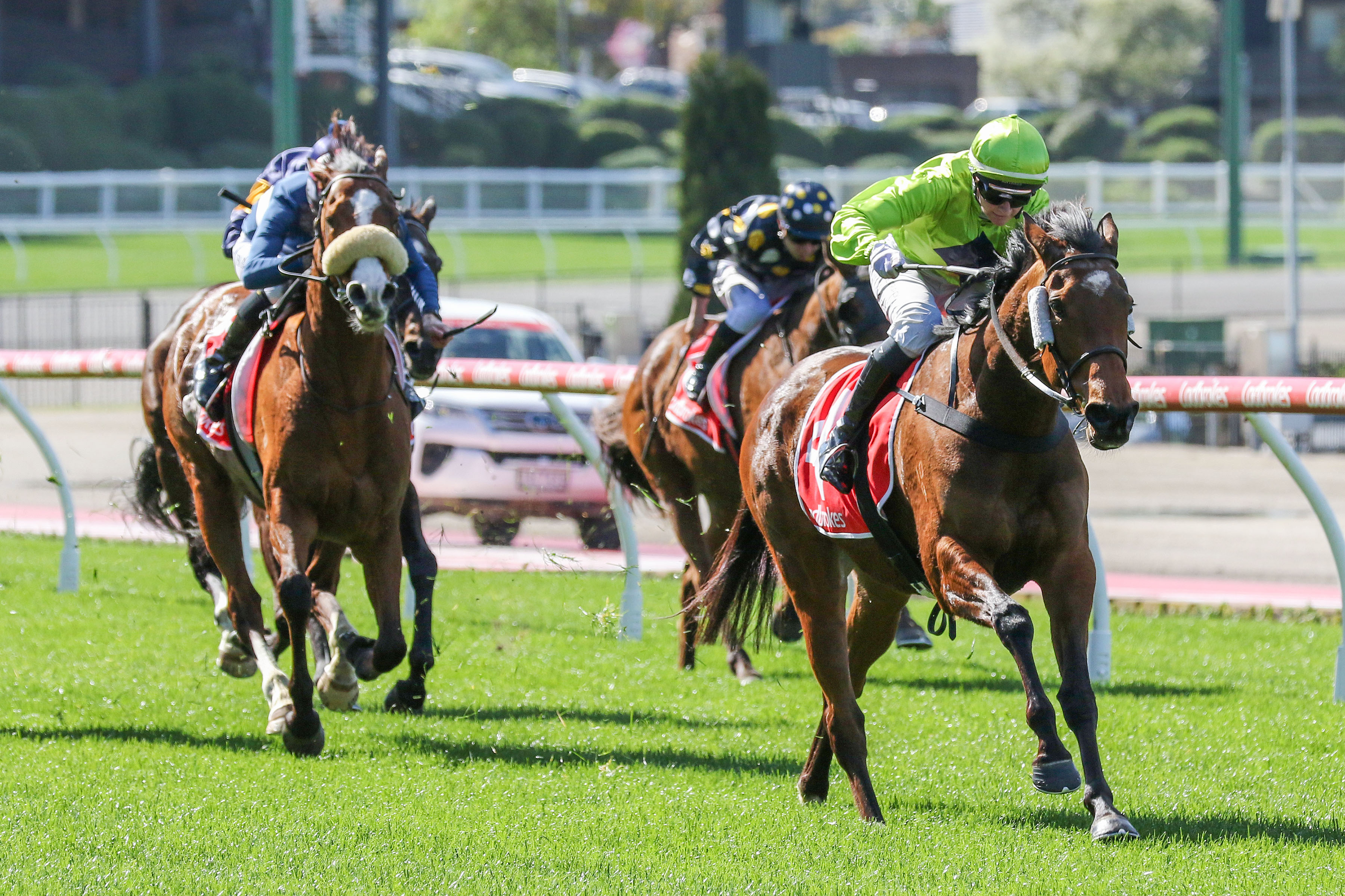 Dashing Duchess stakes claim for higher honours