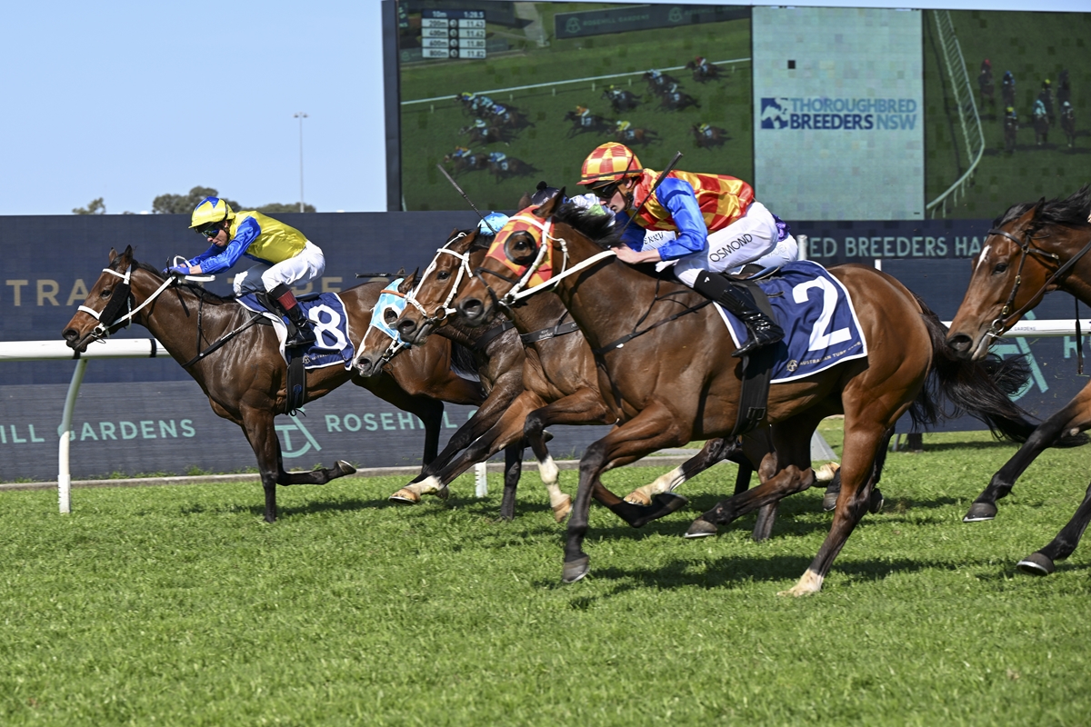 Firestorm shines on four-year-old debut