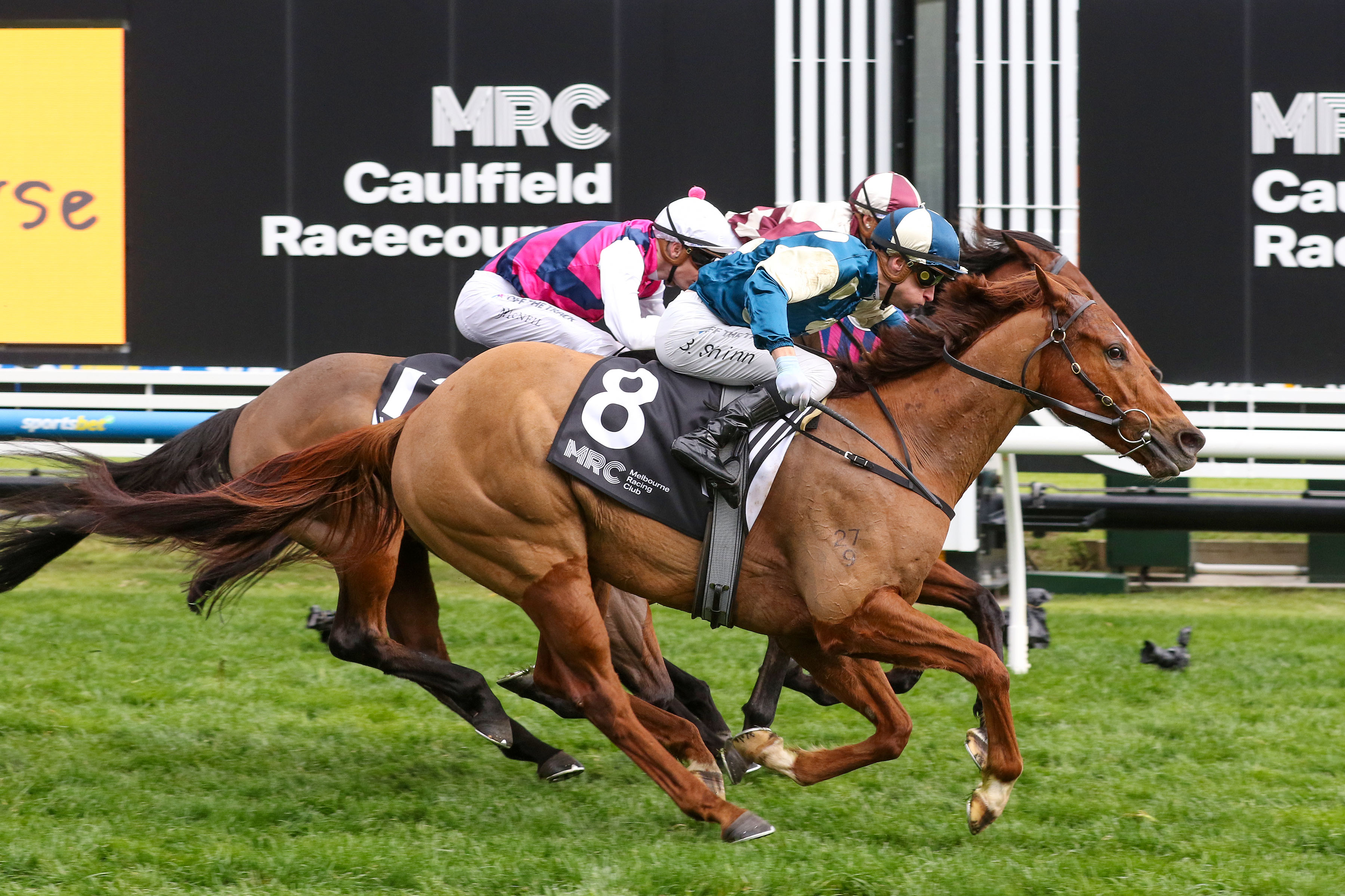 Jimmysstar back on song at Caulfield