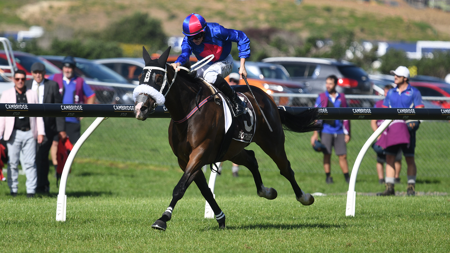 El Vencedor primed for Arrowfield assault