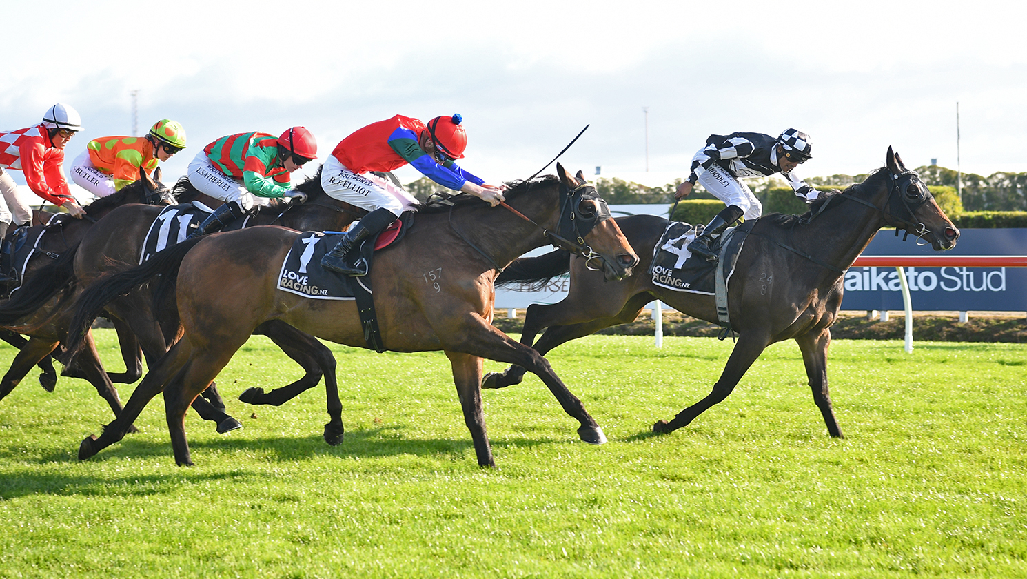 Sharrock sweeps open contests at Te Rapa
