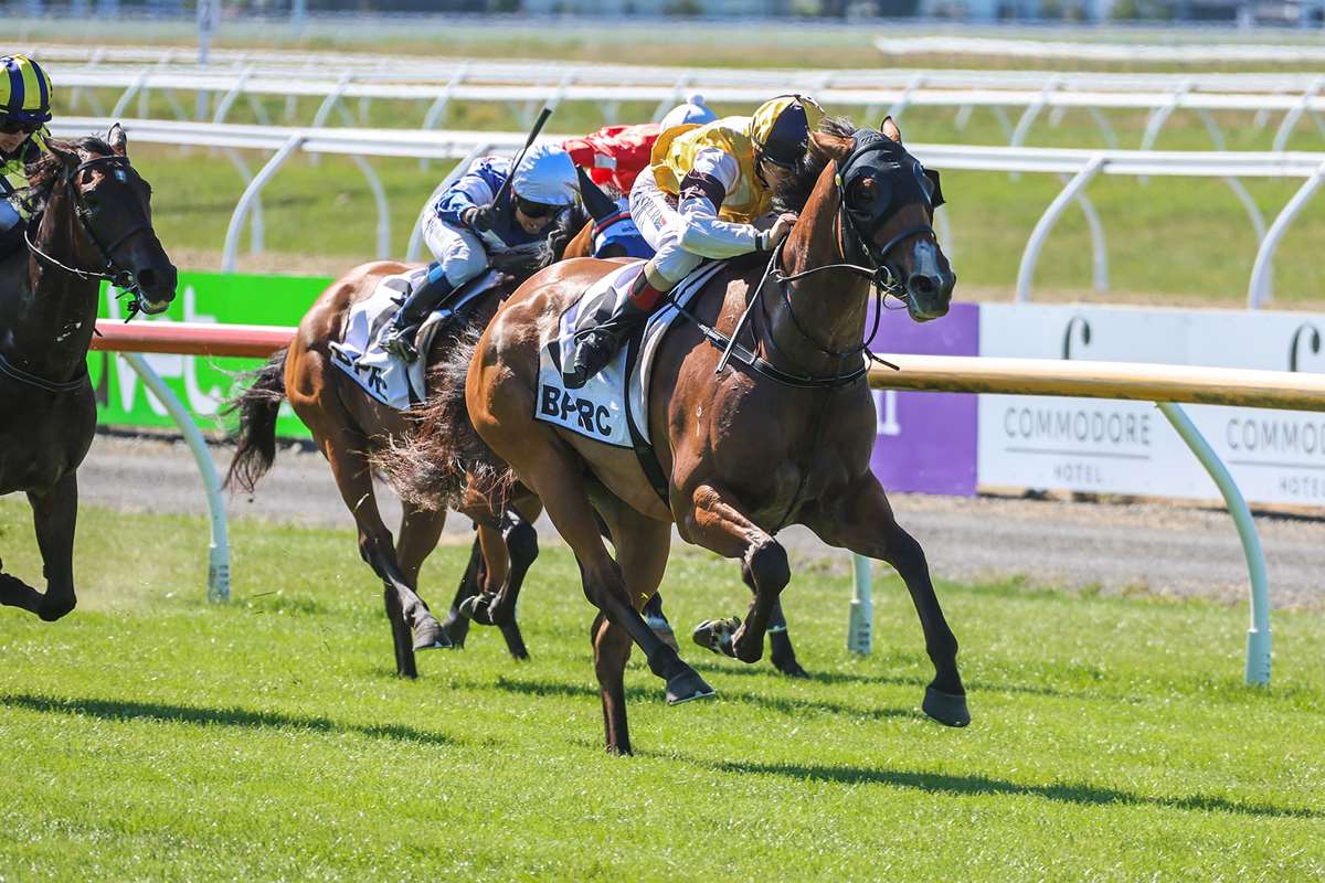 Lilly flying ahead of stakes debut