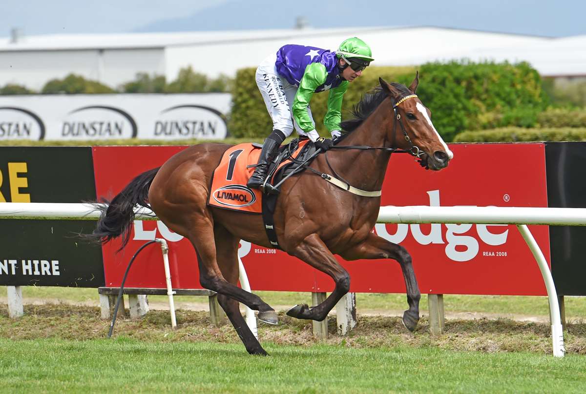 Auckland Cup calling for Sassy Lass