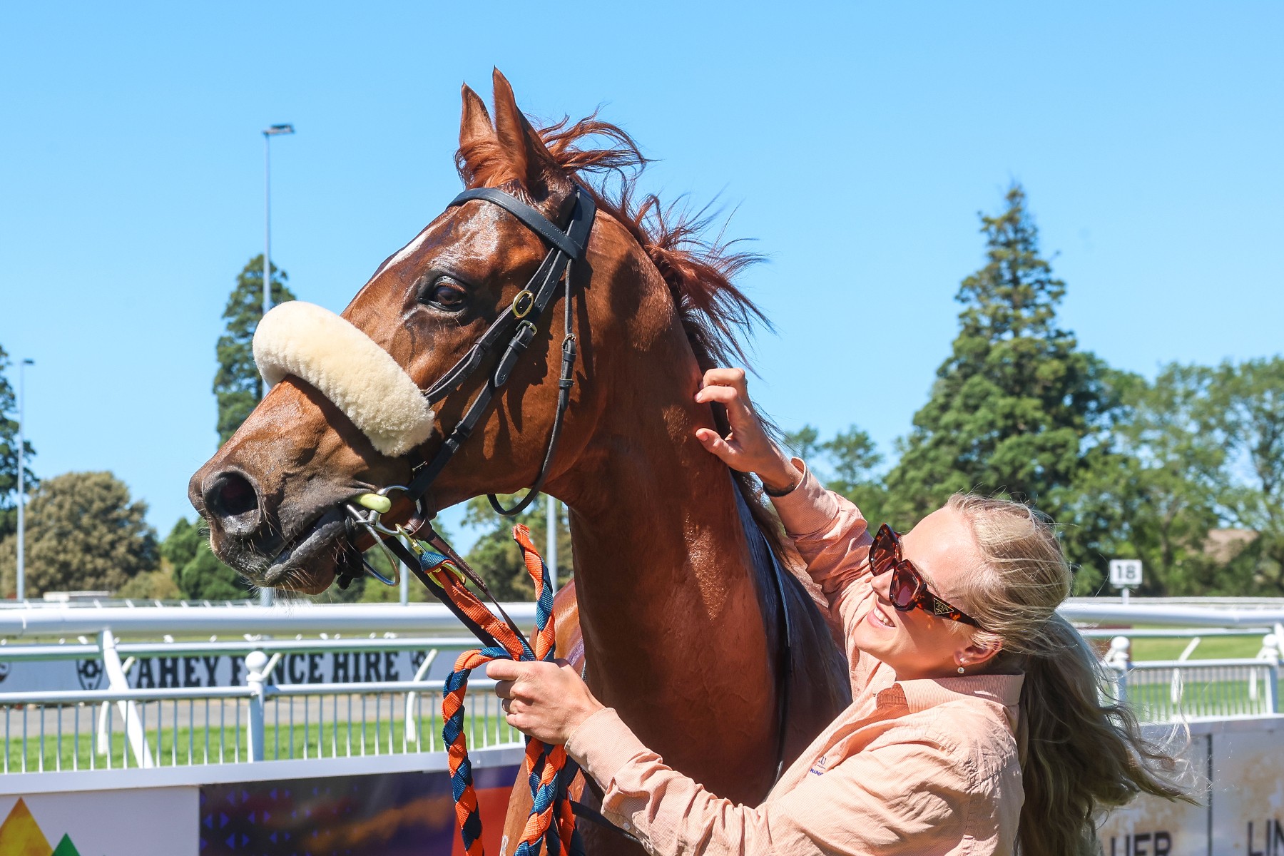 I’m A Dirty Rascal on target for New Zealand Cup