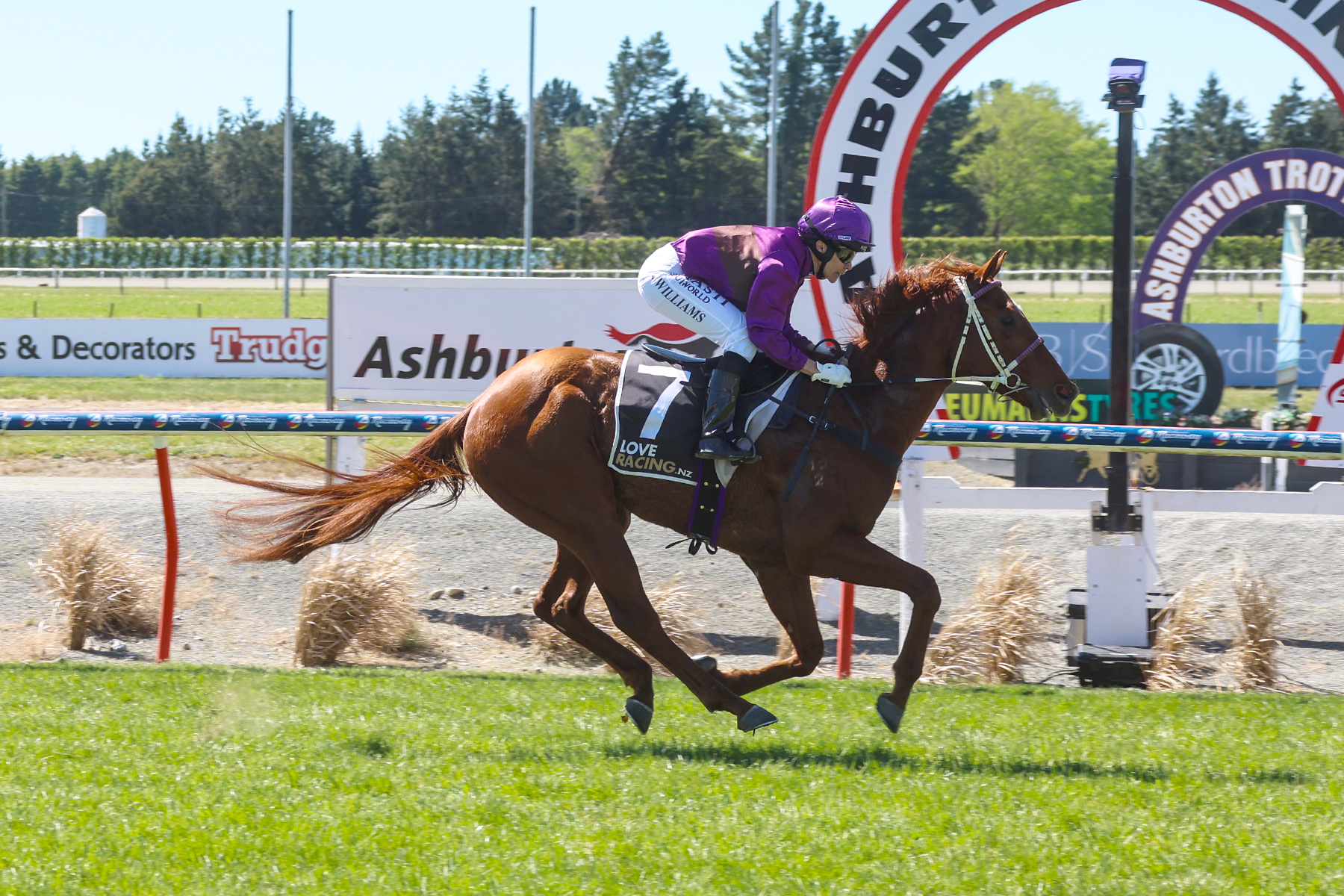 Smashing southern start for Awapuni visitor