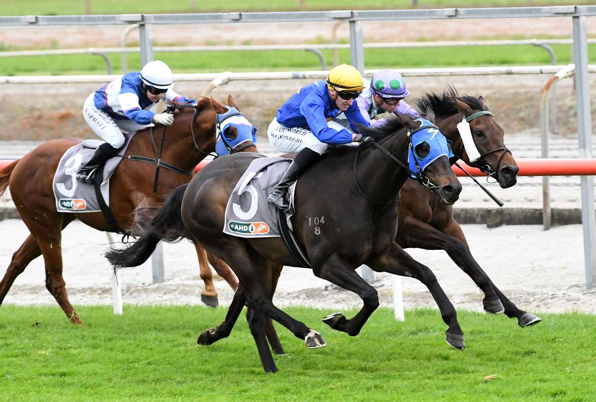 Melbourne Cup tilt over for Wolfgang