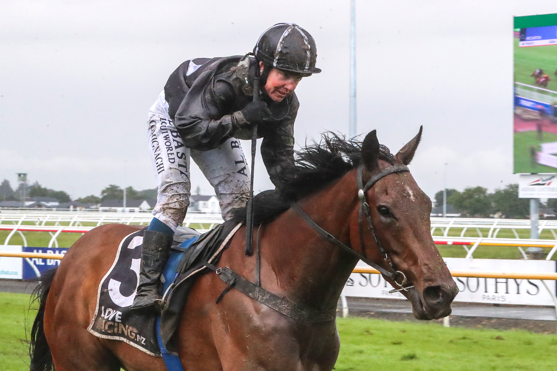 Bozo reigns supreme in gruelling New Zealand Cup