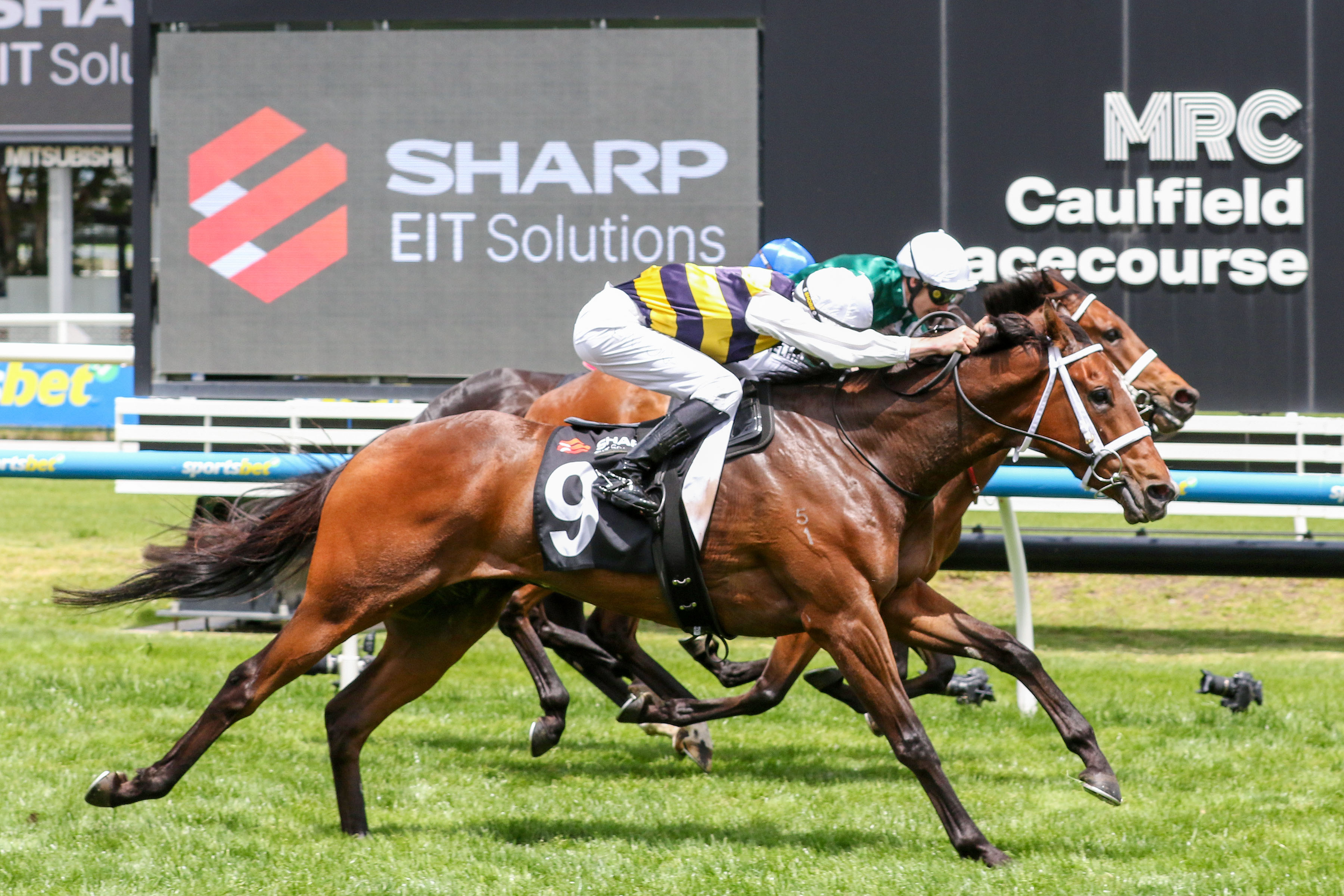 Skippers Canyon finishes strongly for Caulfield success