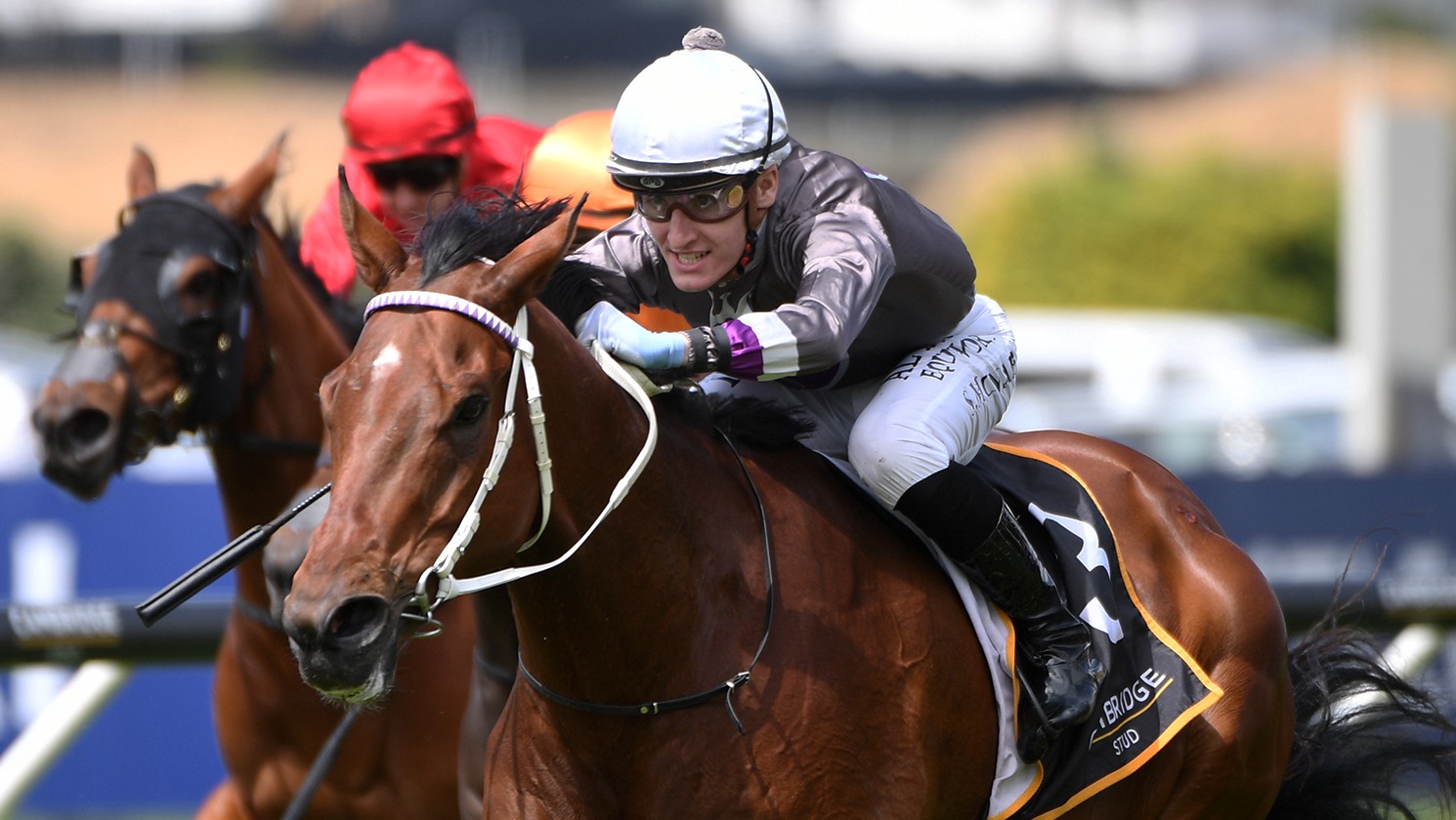 Master Fay set to take flight in Concorde