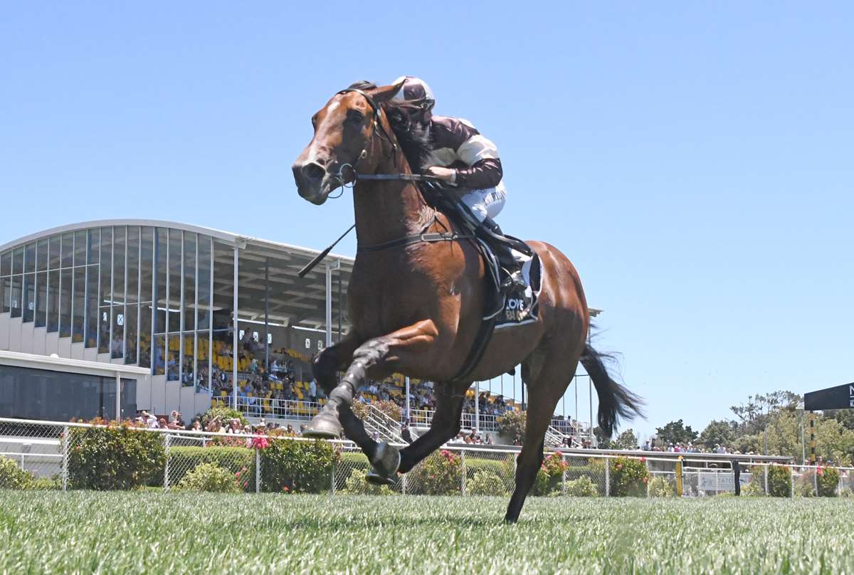 Injury curtails promising juvenile’s season