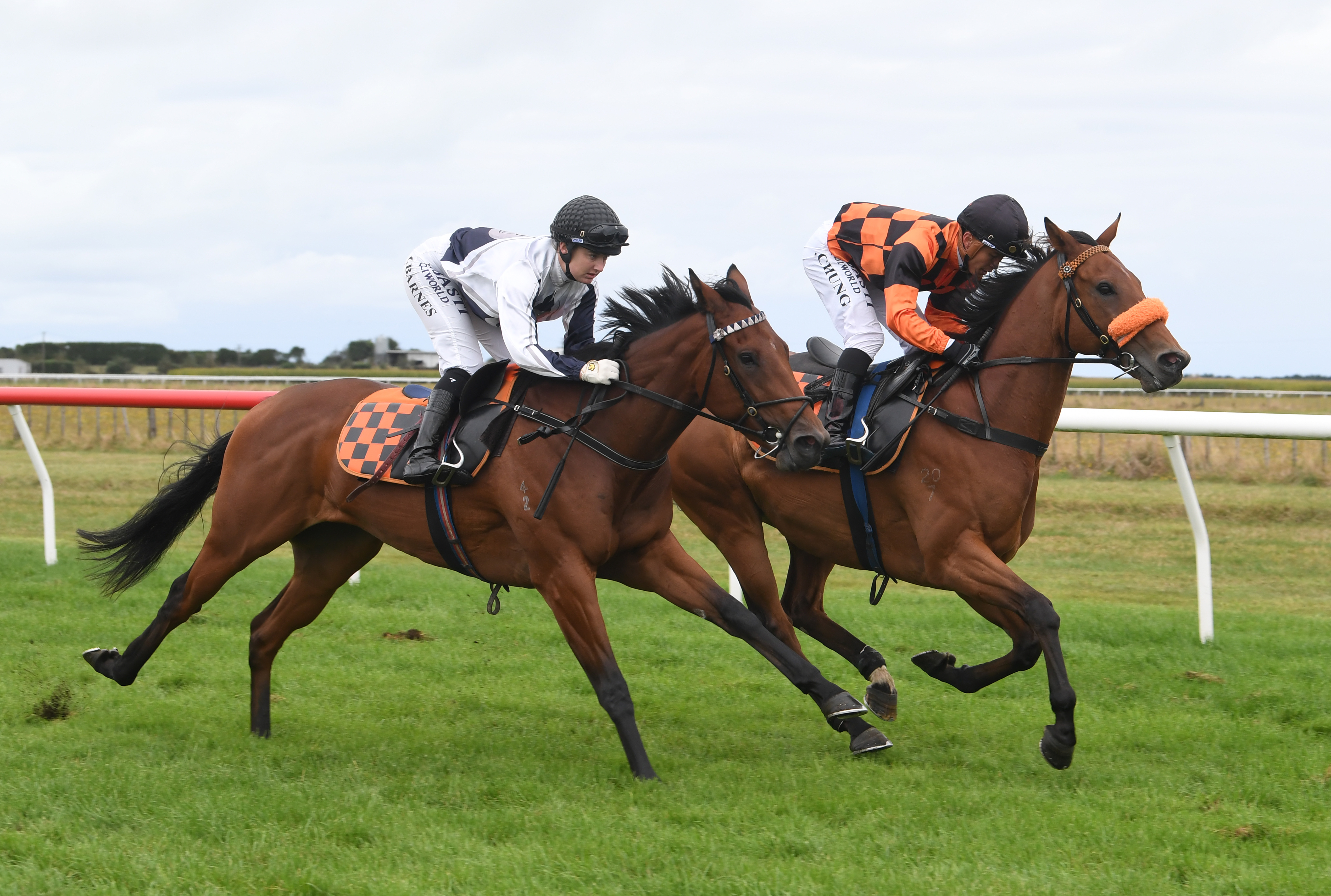 Too Sweet the forgotten horse in Sires’ Produce
