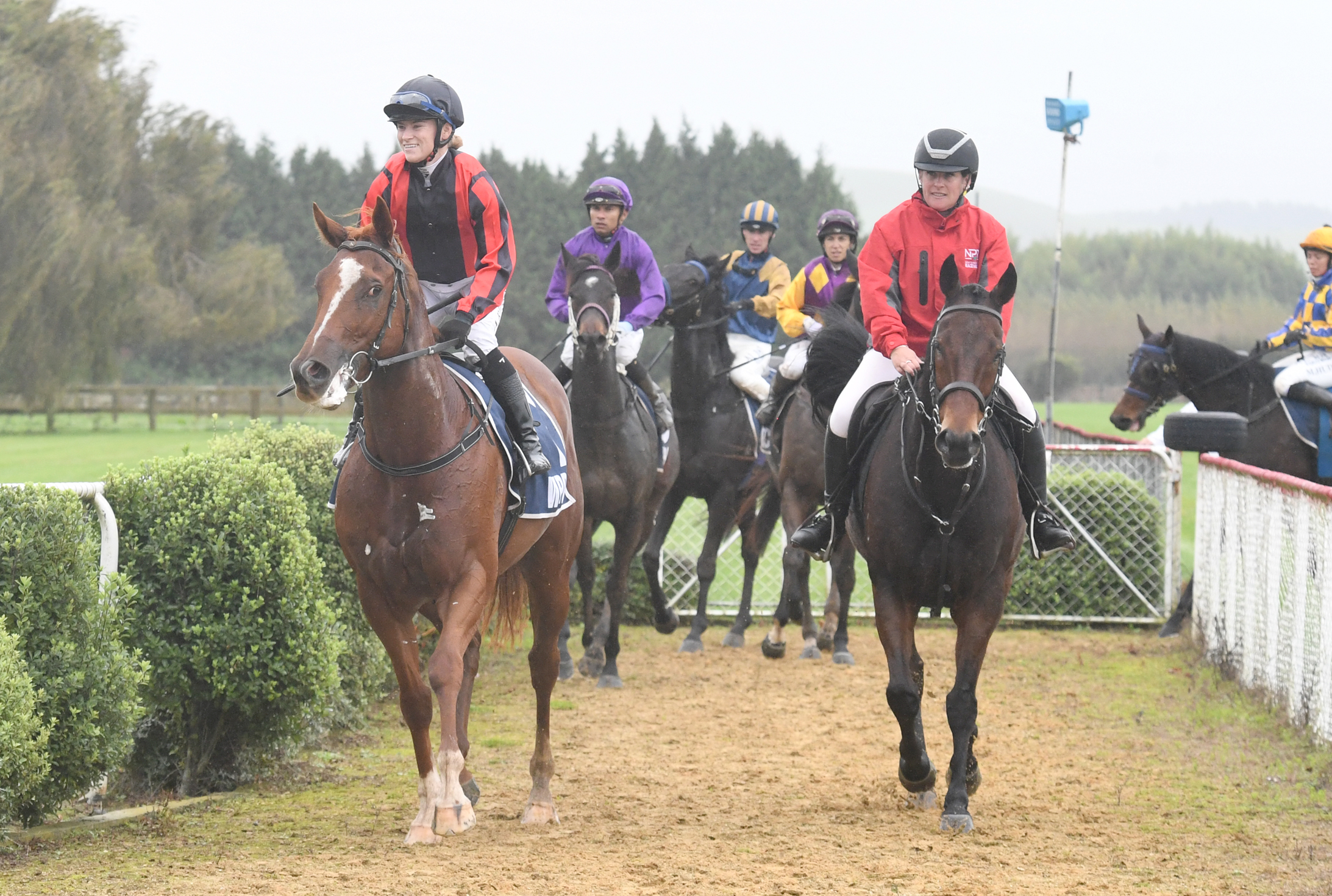 Stakes winner embracing new clerking role