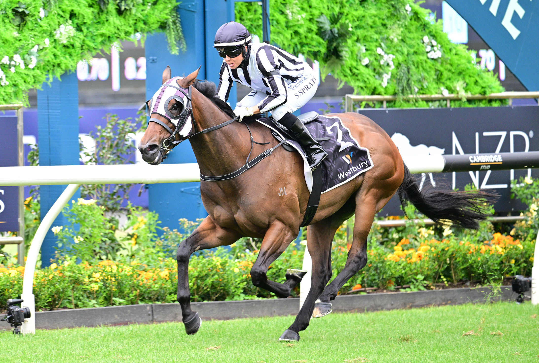 Belclare to make Australian return