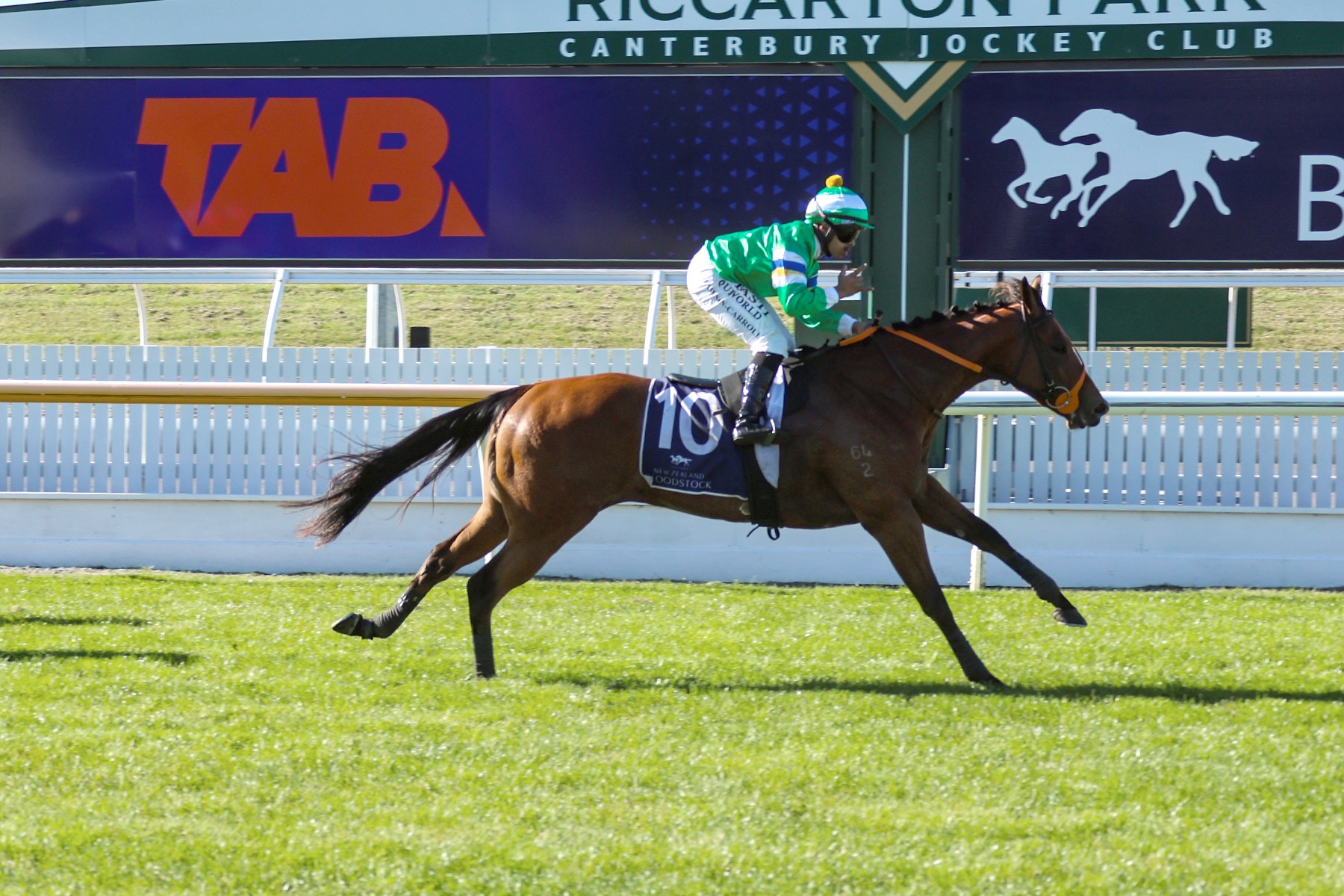 Finnegan flyer is first-up winner