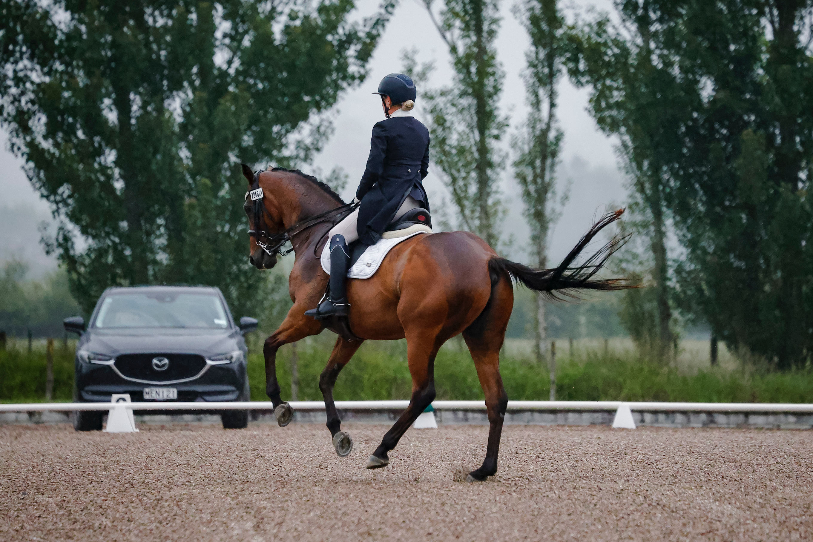 OTTB dancing to success in the dressage arena