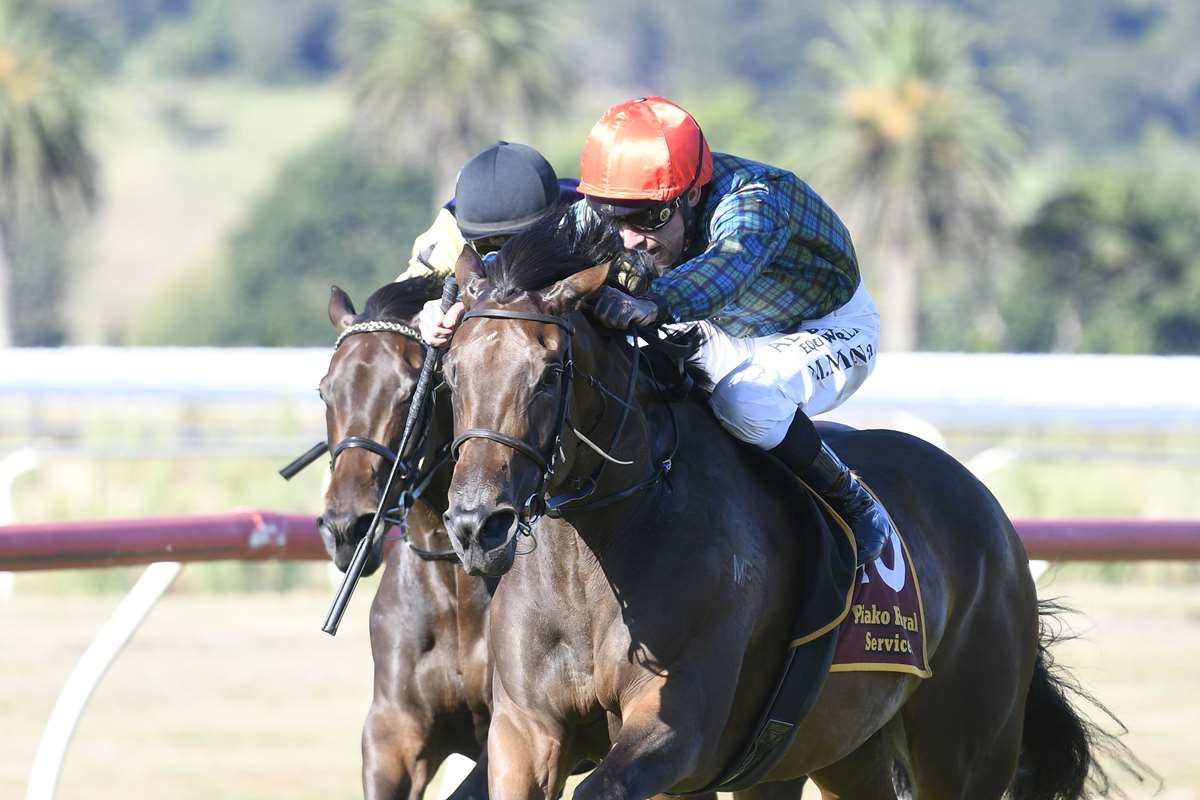 Gerard chasing Oaks gold in Sydney