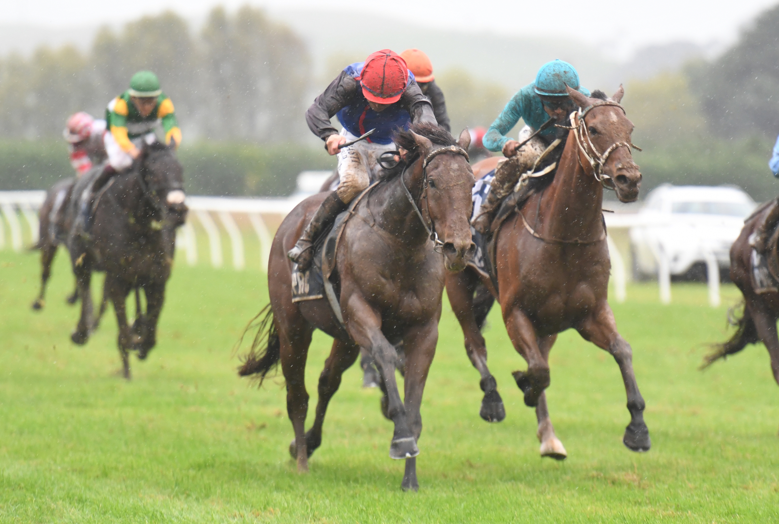 Stablemates finding the winning groove with Rathbone