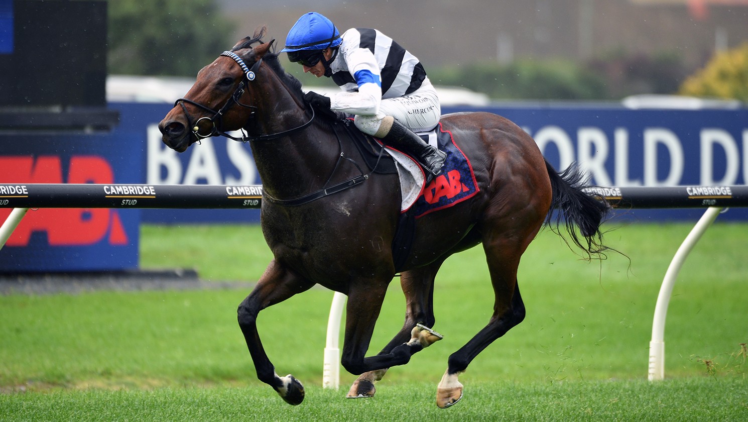 Sterling Express salutes at Ellerslie