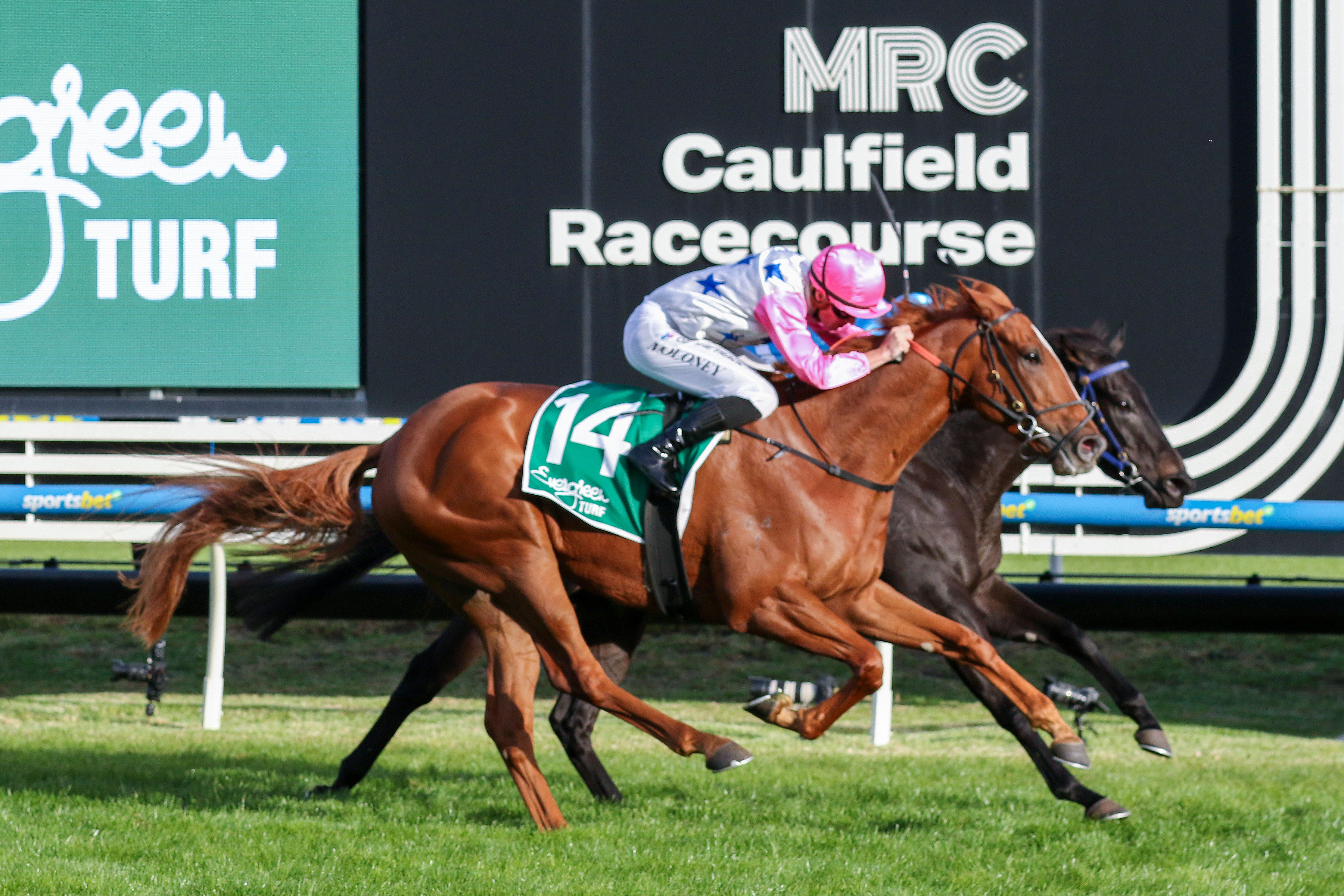 Kiwi-breds fight out Caulfield thriller