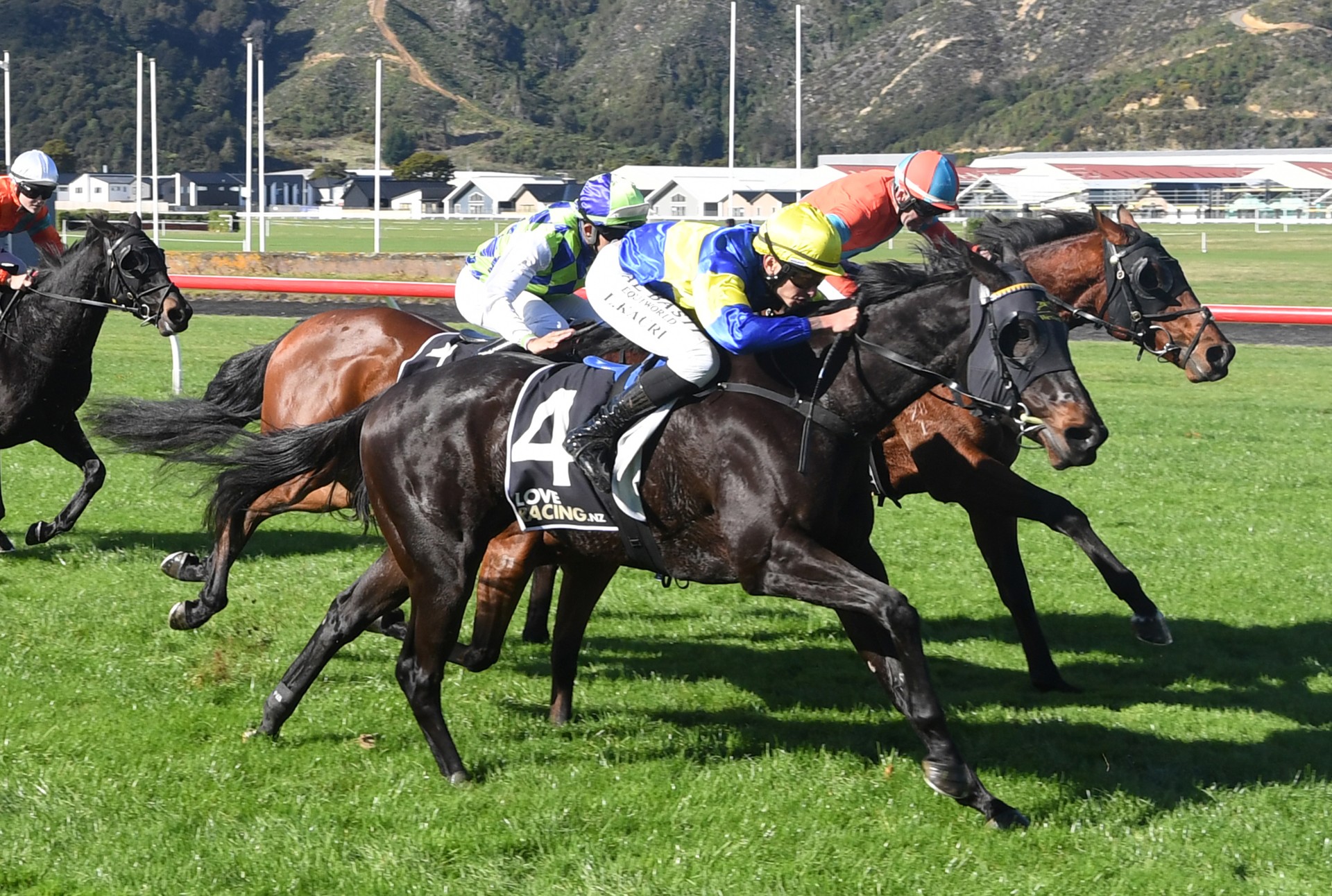 Kauri capitalises on Wexford opportunity