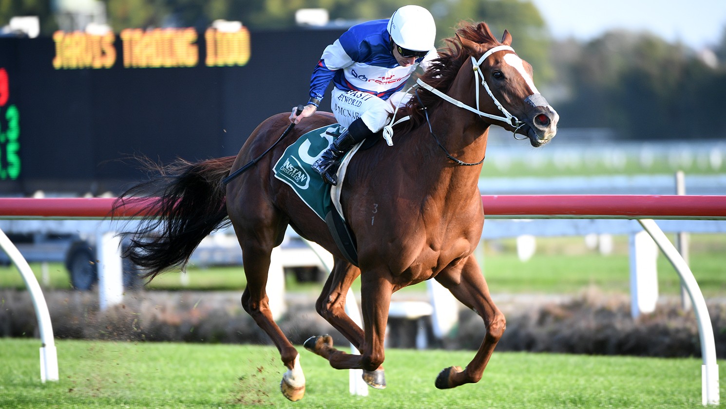 Brisbane on the radar for resurgent Velocious